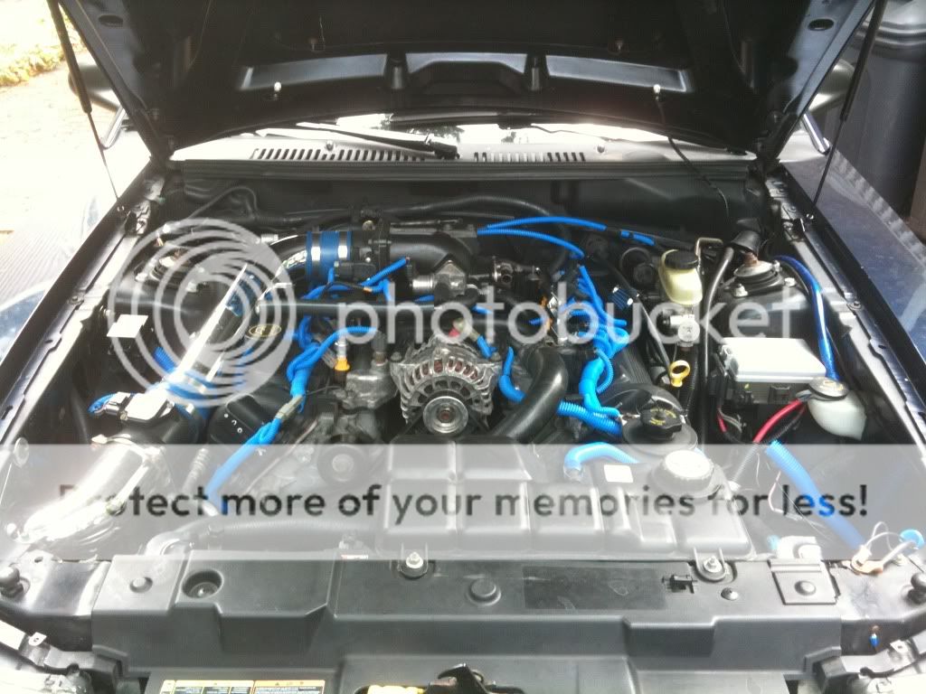 Stainless Steel Dress Up Radiator Hose | Page 2 | Modded Mustang Forums