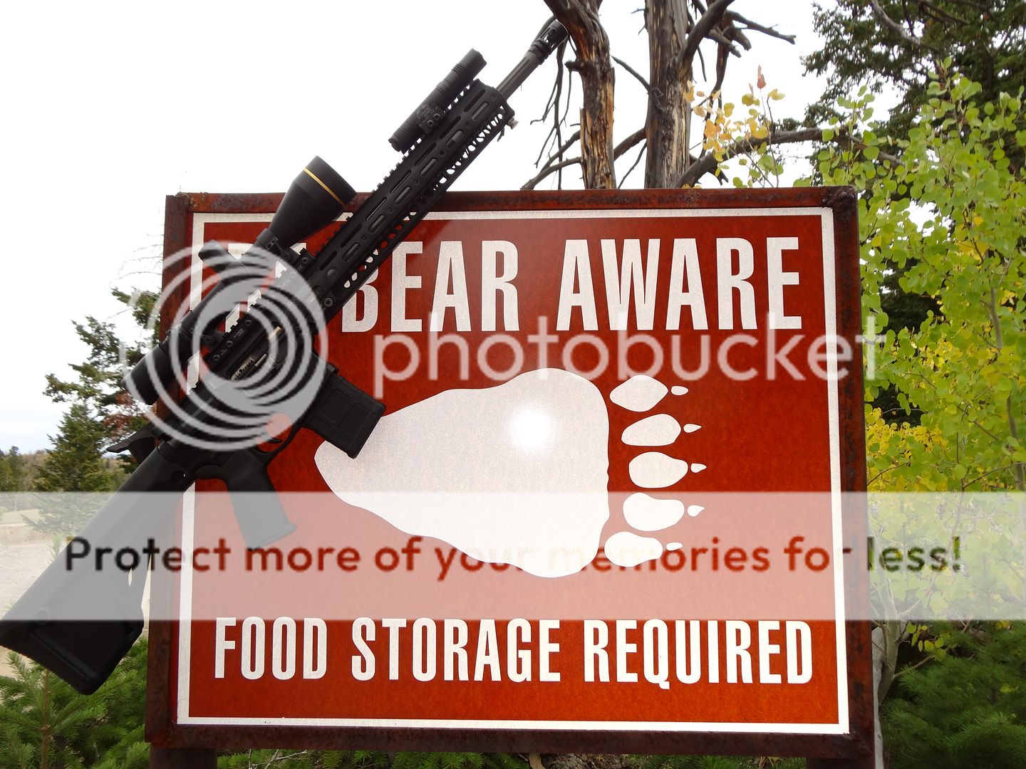 12 gauge slugs VS 5.56 for bear defense(and general scary animals ...