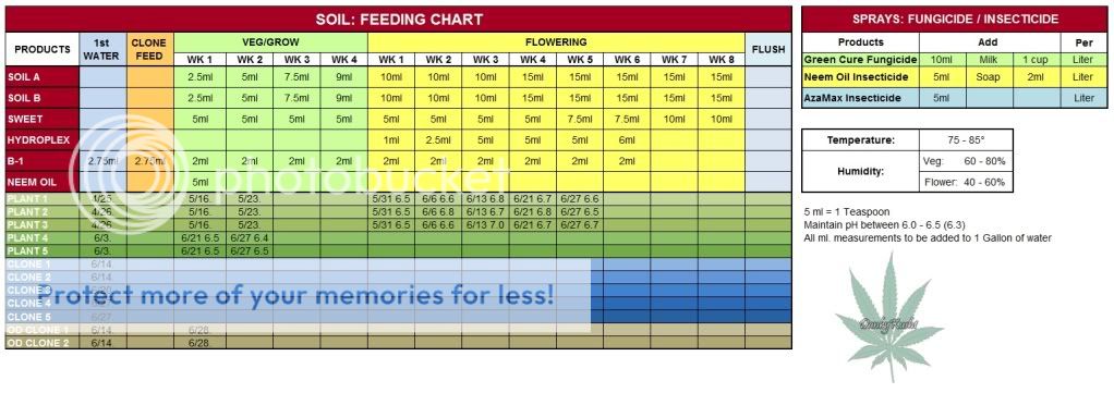 Marijuana Grow Cycle Chart
