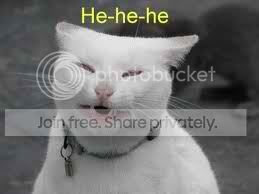 Any one in /k/ open door for lady?